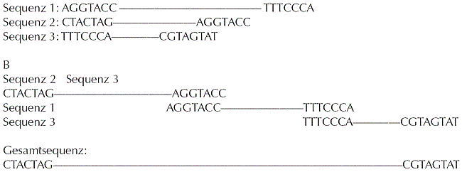 Human Genome Project